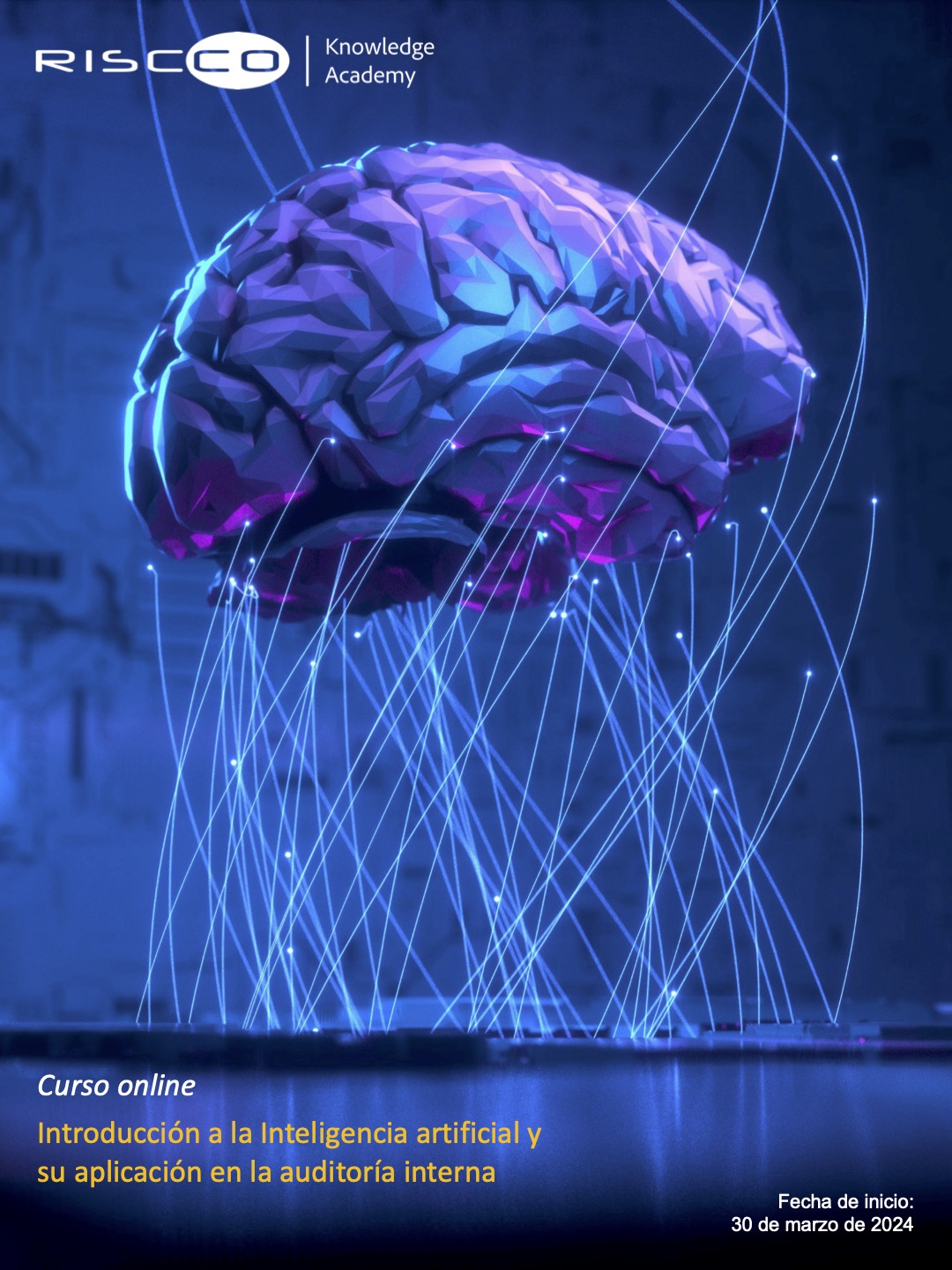 RISCCO Academy – RISCCO Consulting